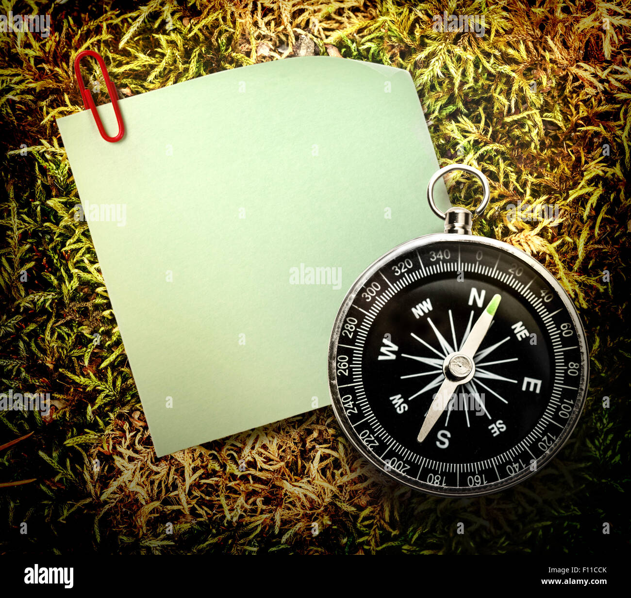 Green sticker hi-res stock photography and images - Alamy