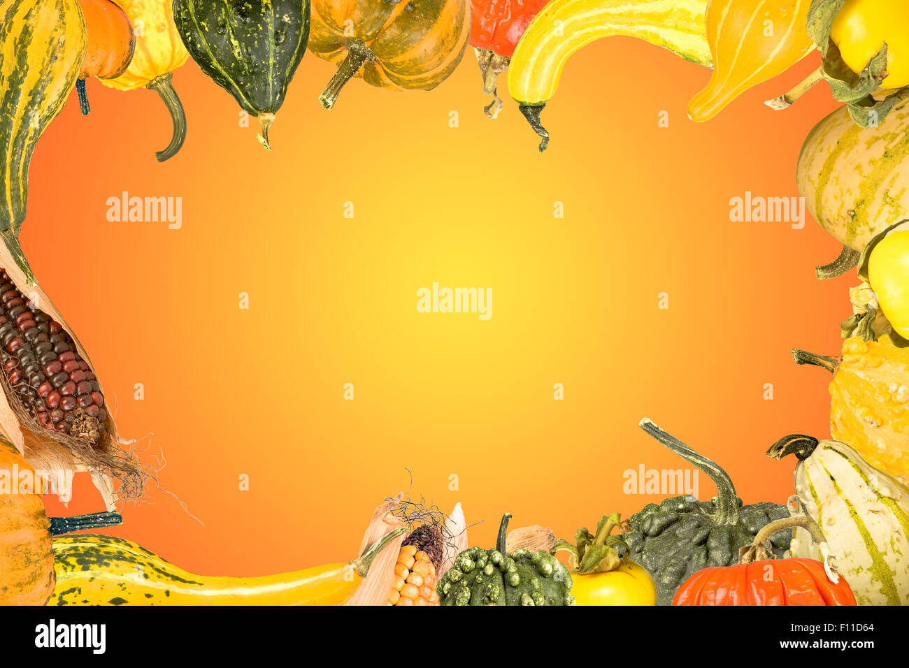 Border frame made of assorted gourds for thanksgiving Stock Photo - Alamy