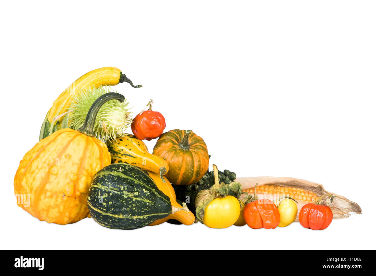 Bottom frame made of assorted gourds for thanksgiving Stock Photo - Alamy