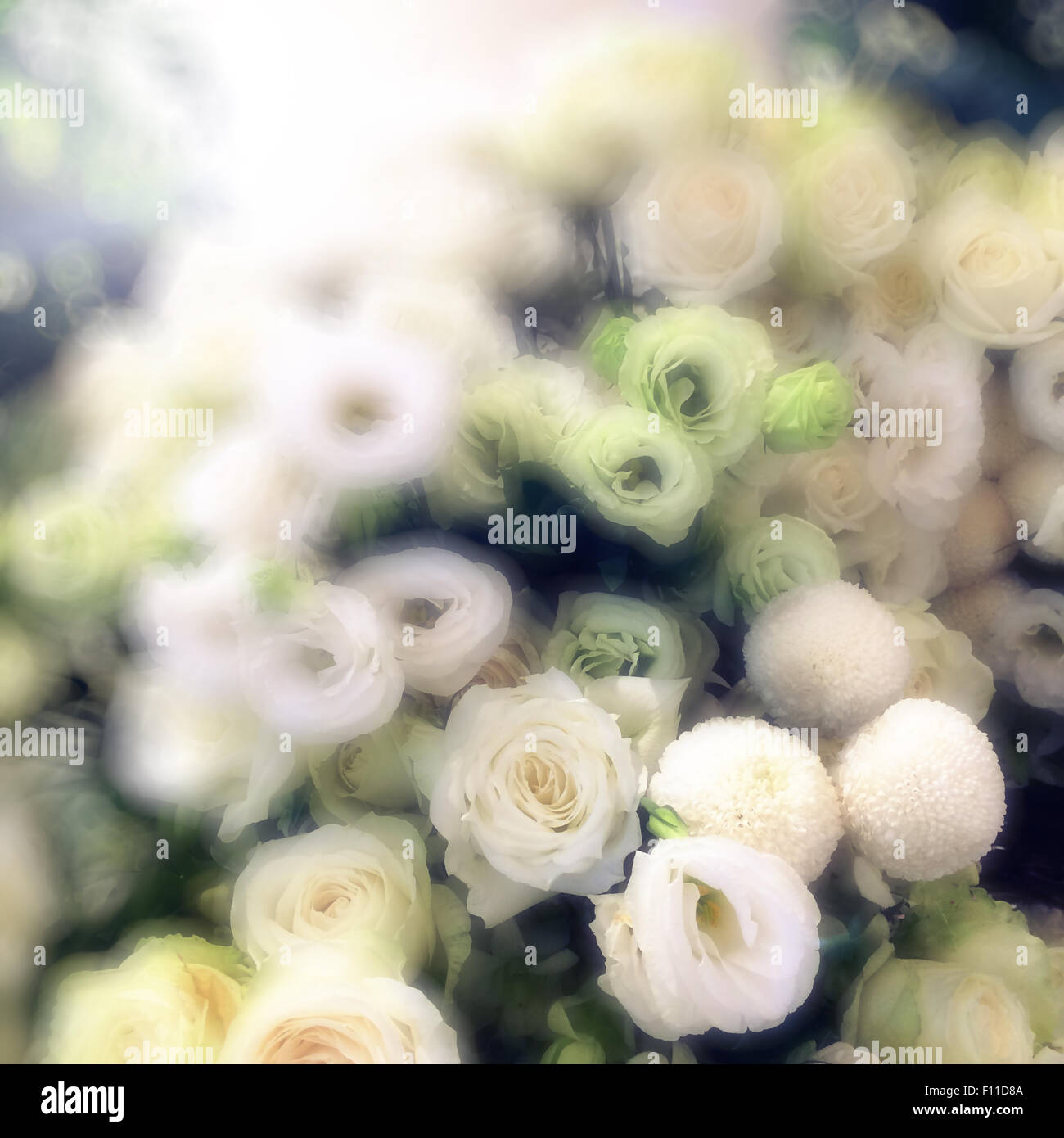 blurred flower background Stock Photo - Alamy