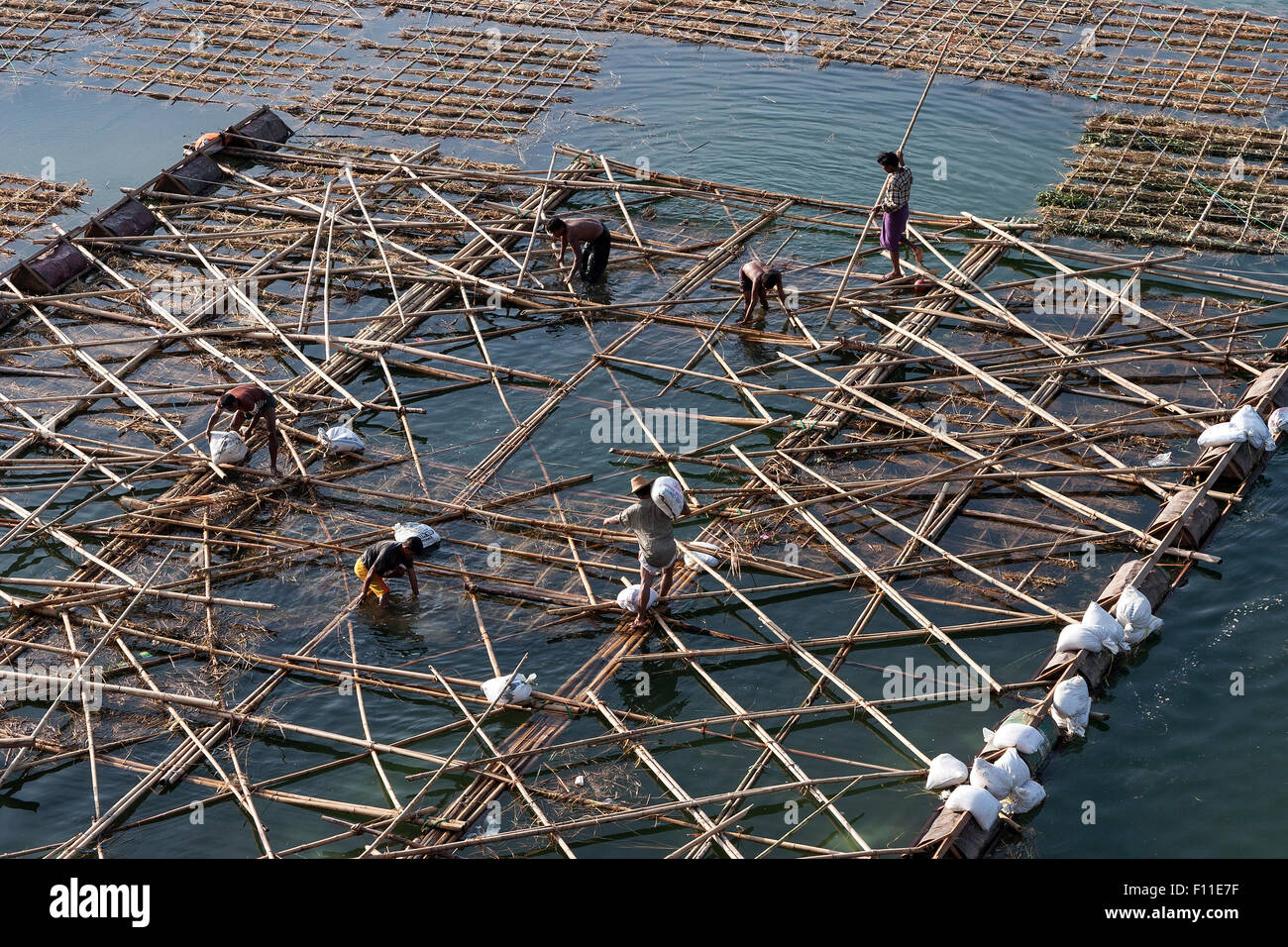 Native workers building a floating bamboo frame on the Irrawaddy or ...