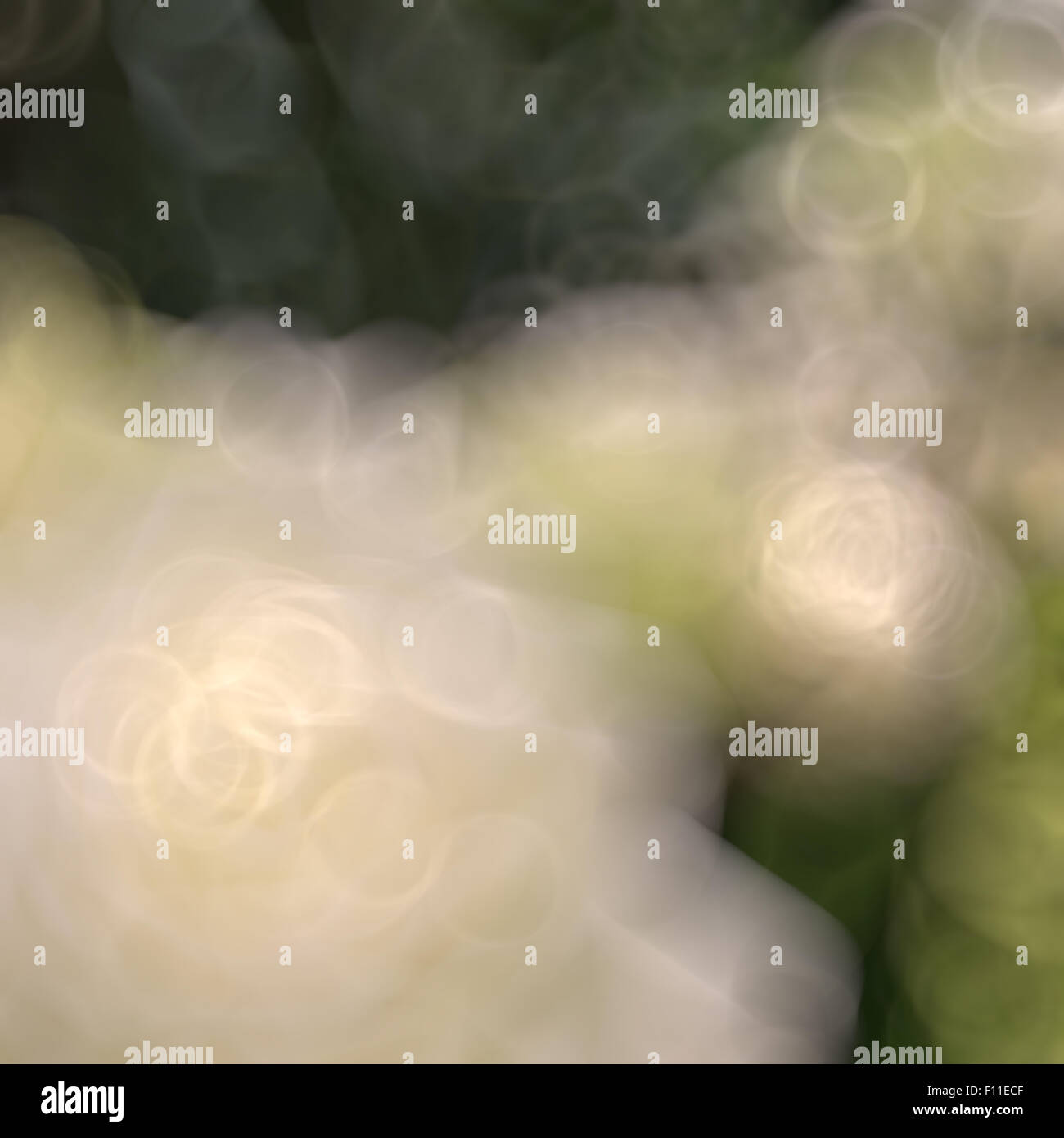 blurred flower background Stock Photo - Alamy