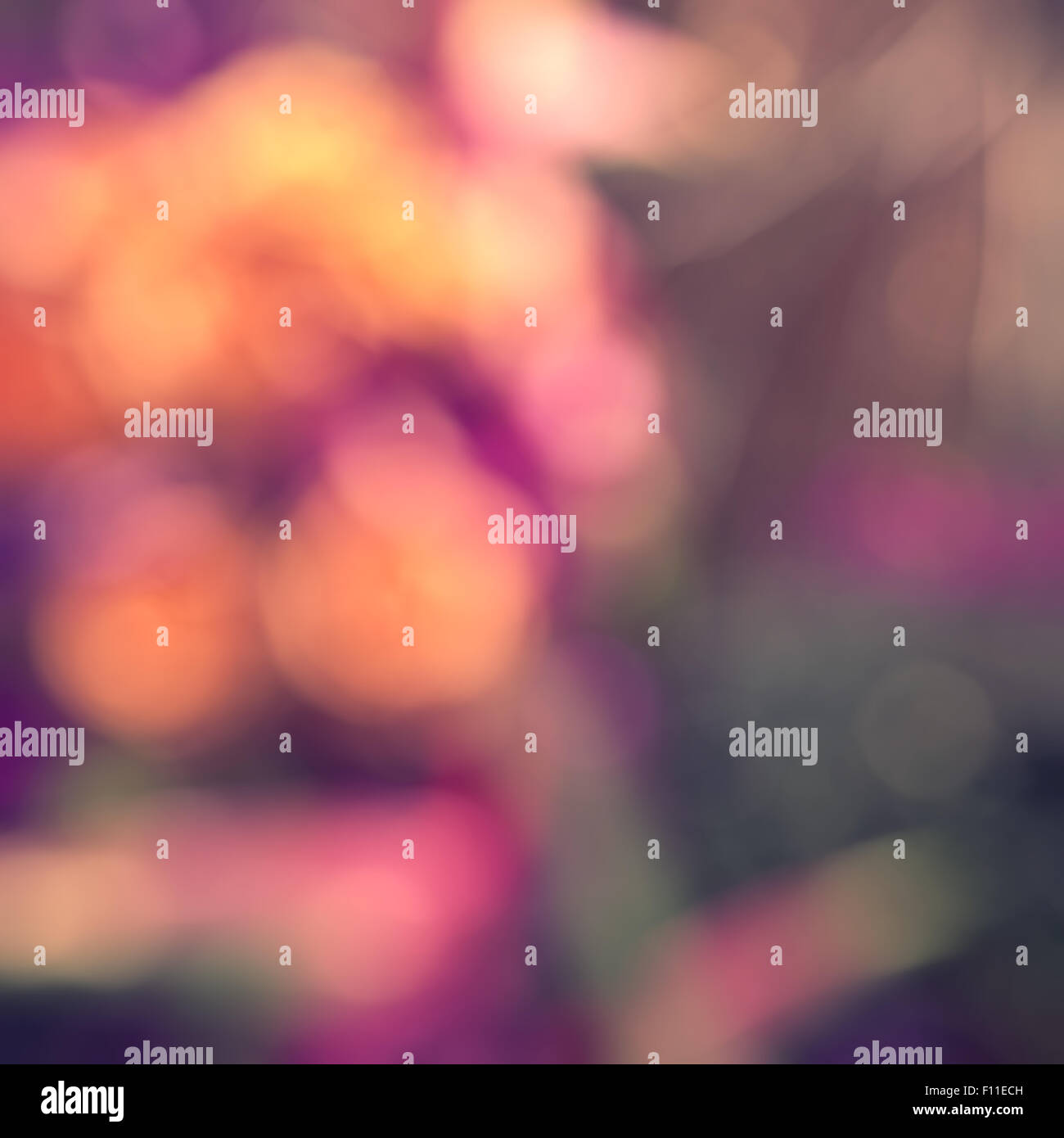 blurred flower background Stock Photo - Alamy