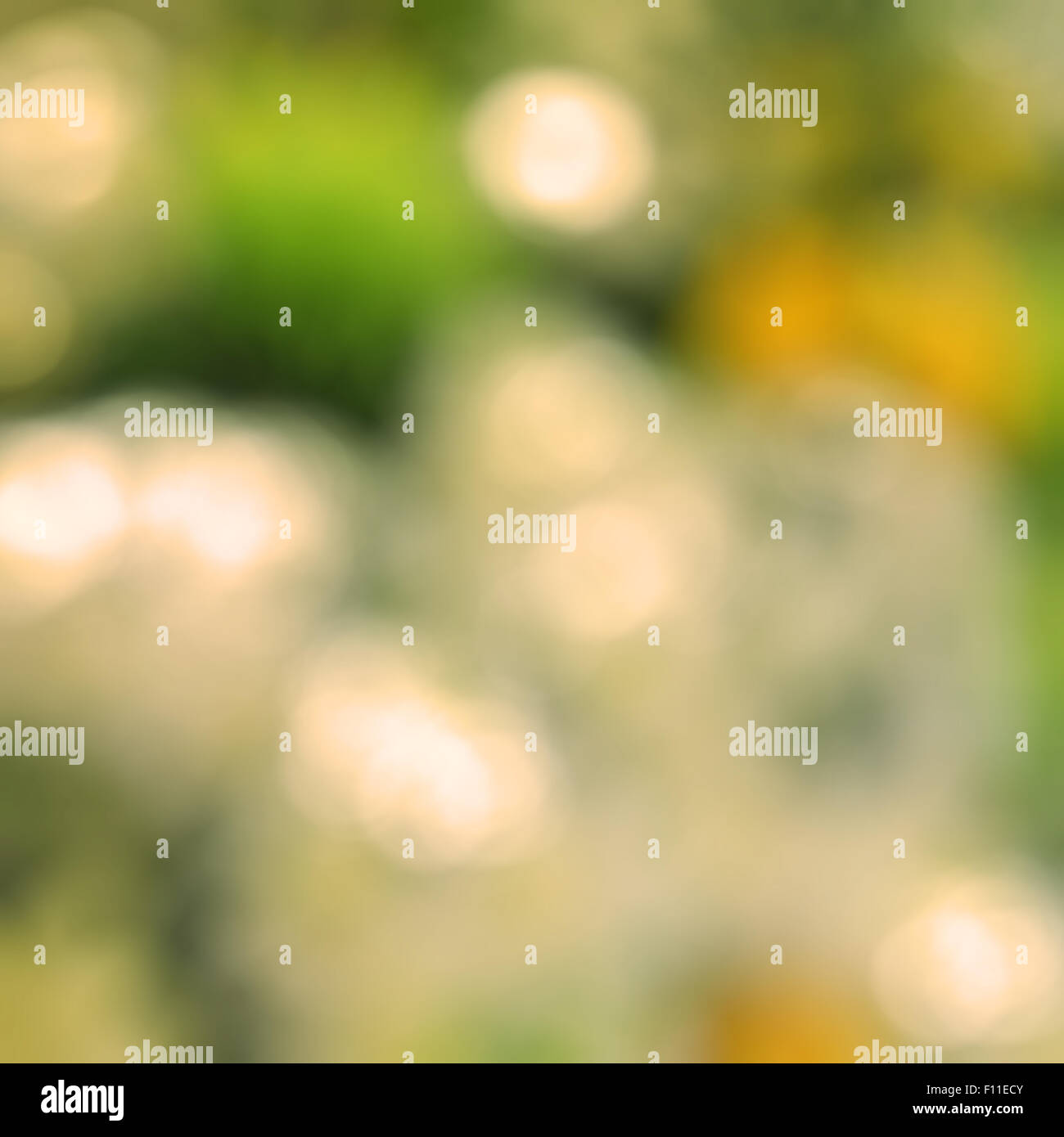 blurred flower background Stock Photo - Alamy