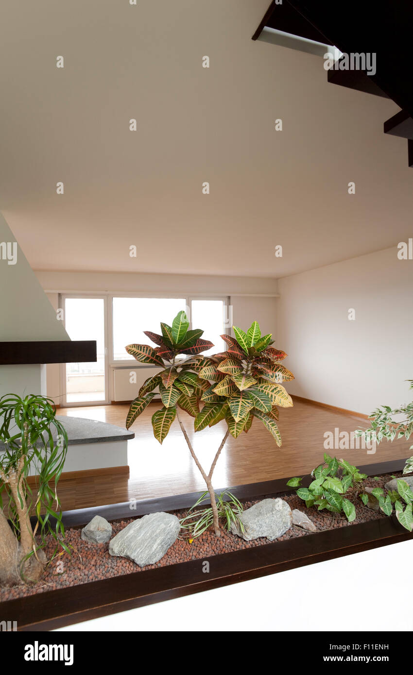 Interior design house plants hi-res stock photography and images - Alamy