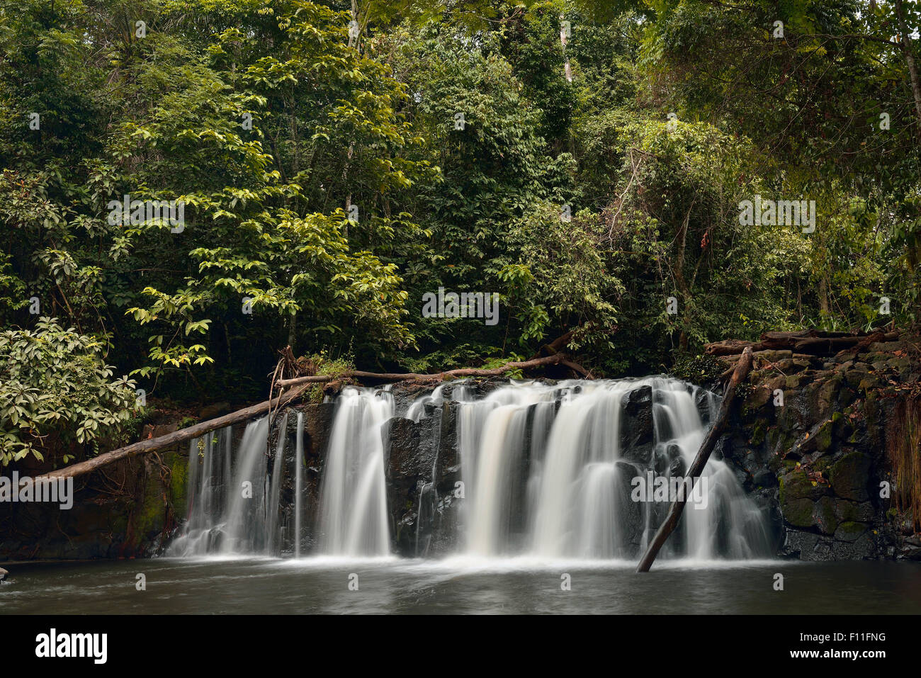 Cameroon river hi-res stock photography and images - Alamy