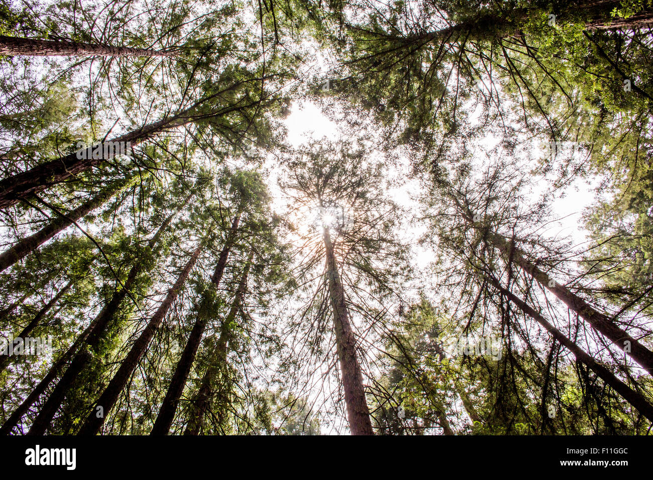 Underneath angle hi-res stock photography and images - Alamy