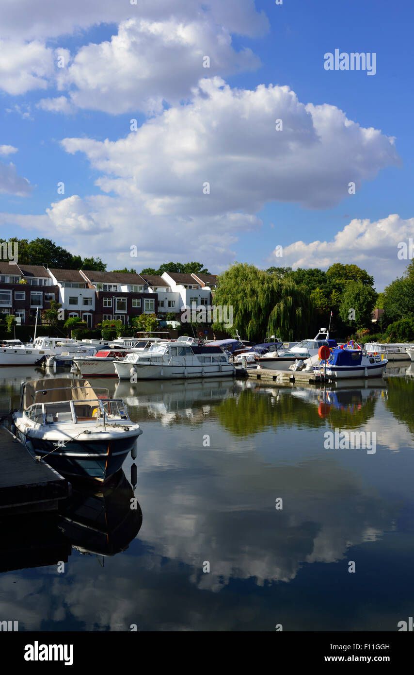 Chiswick quay marina hi-res stock photography and images - Alamy