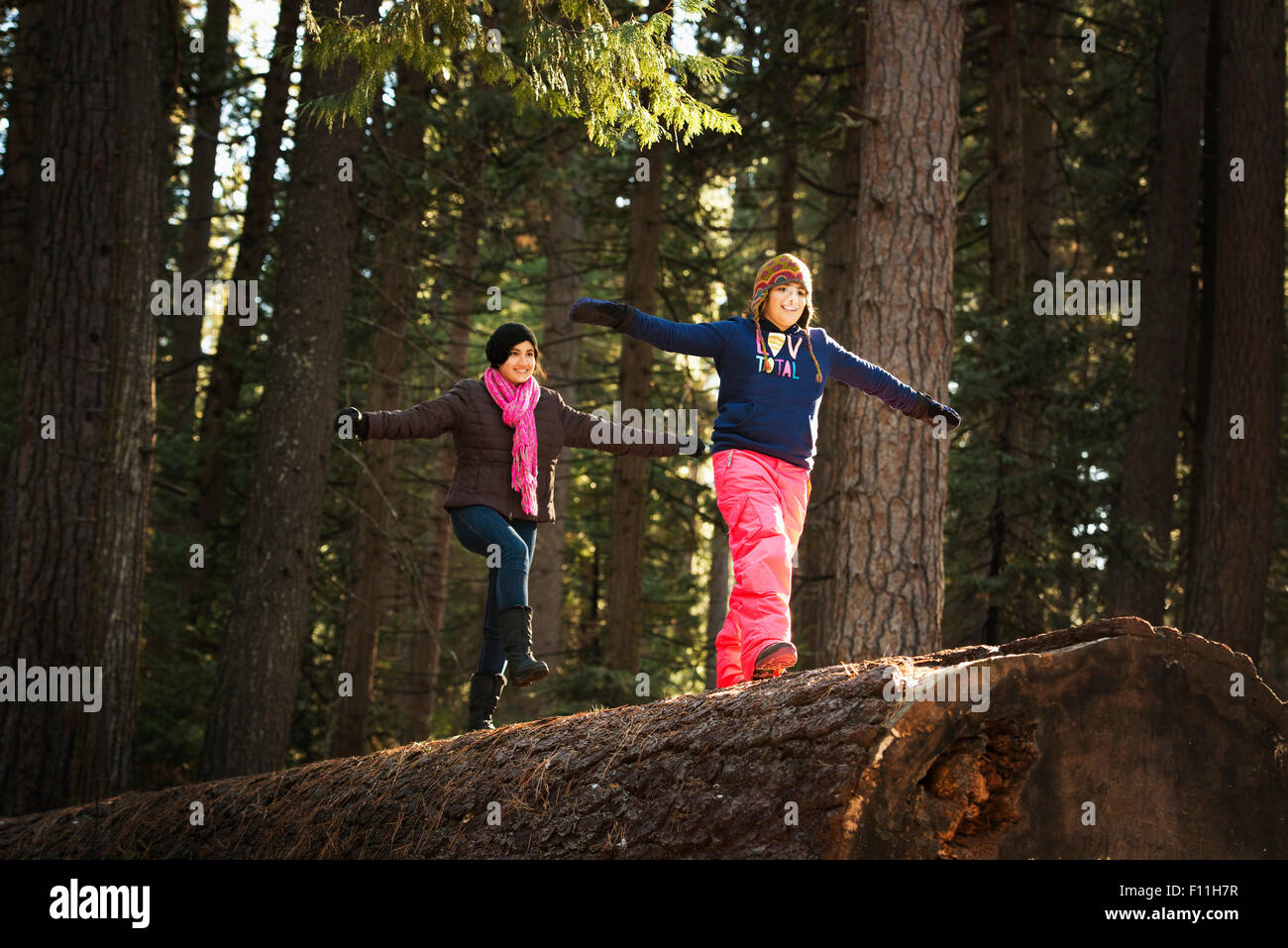 Children balancing on log in forest Stock Photo - Alamy