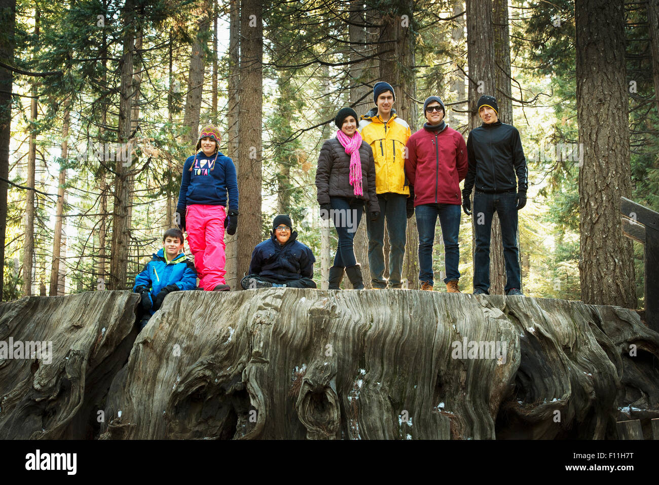 Family standing on enormous stump in forest Stock Photo - Alamy