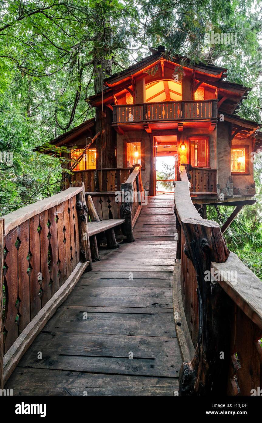 Wooden walkway to illuminated tree house Stock Photo - Alamy