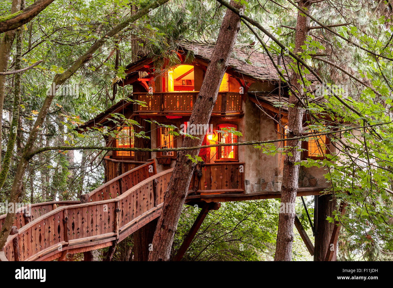 Wooden walkway to illuminated tree house Stock Photo - Alamy