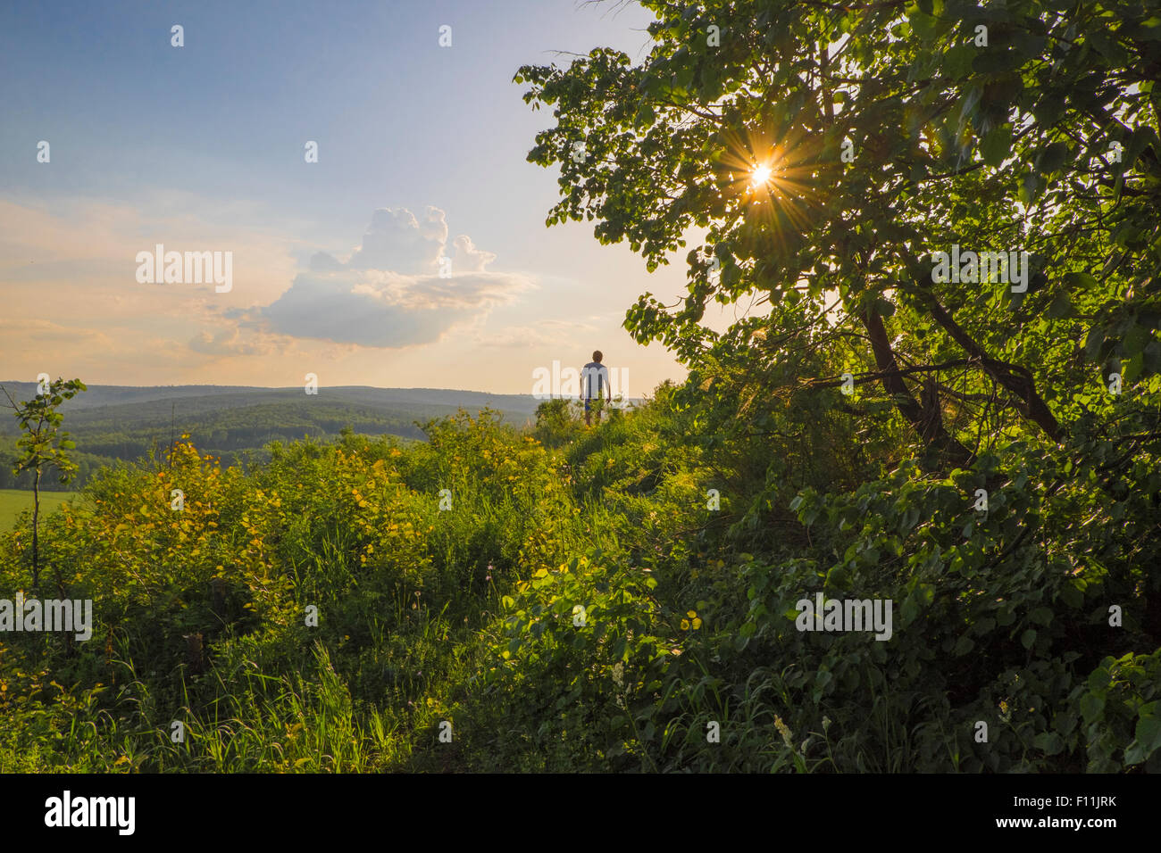 Mari man walking in rural landscape Stock Photo - Alamy