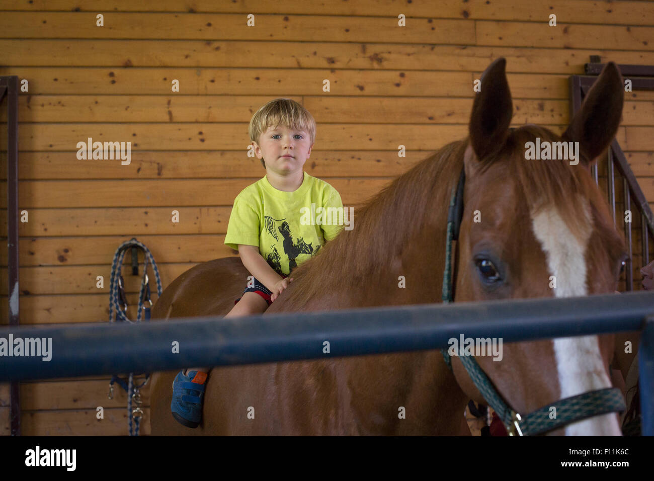 Child Blond Boy Riding Horse High Resolution Stock Photography and ...