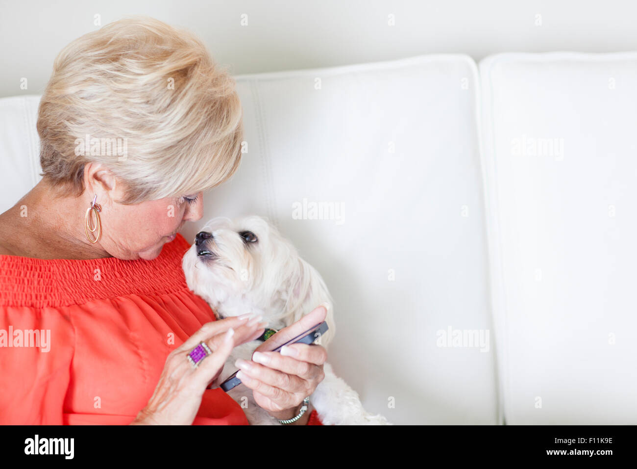 Older Caucasian woman and dog using cell phone on sofa Stock Photo - Alamy