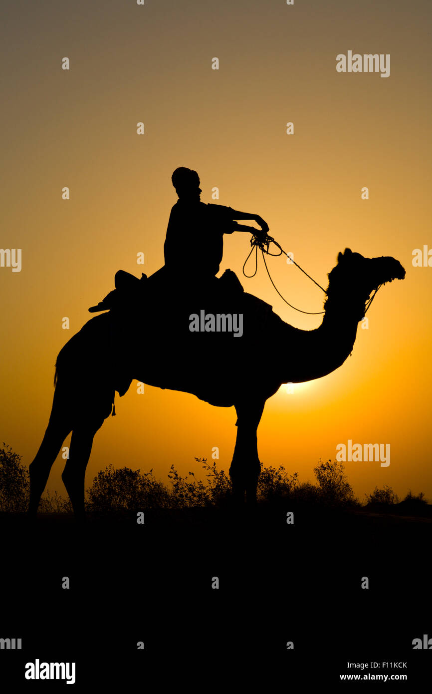 Person riding camel silhouette hi-res stock photography and images - Alamy