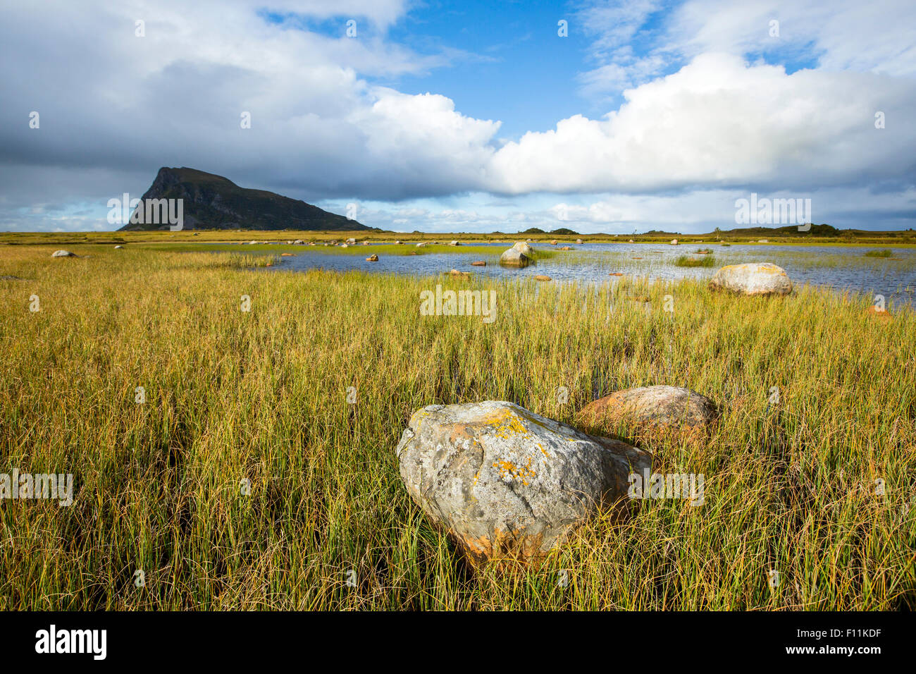 Rock formations in grassy coastline under blue sky Stock Photo - Alamy