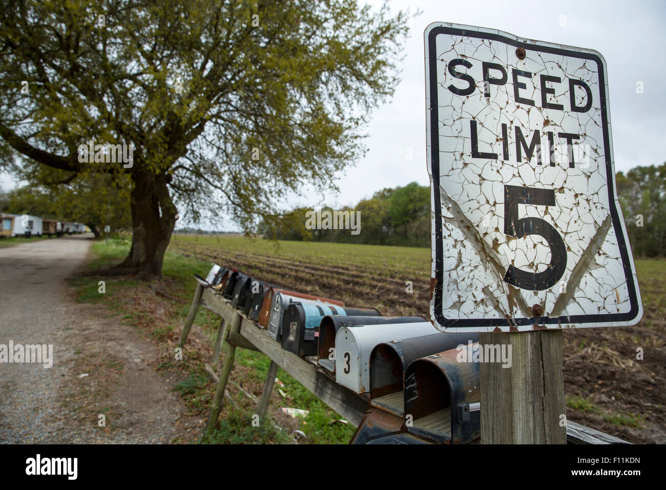 Speed limit sign and mail boxes on country road Stock Photo - Alamy