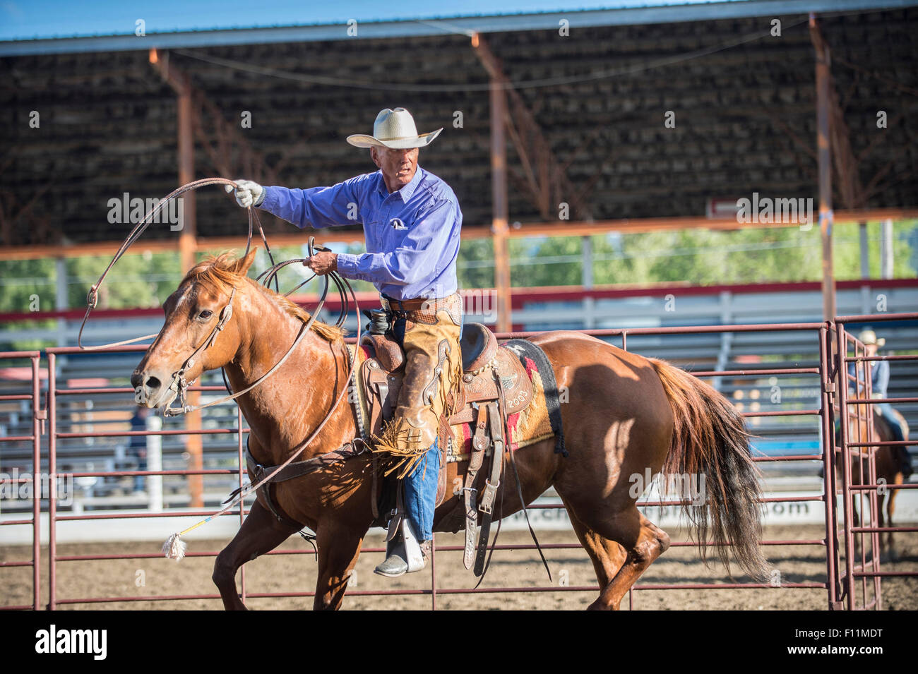 Older Caucasian cowboy throwing lasso at rodeo Stock Photo - Alamy