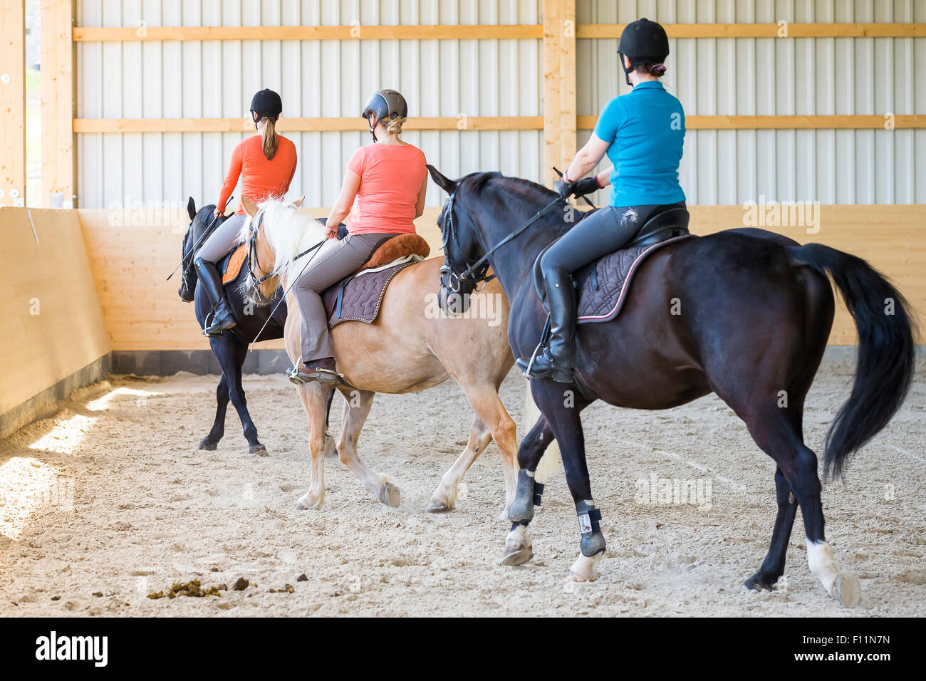 Riding lesson riding hall Stock Photo - Alamy