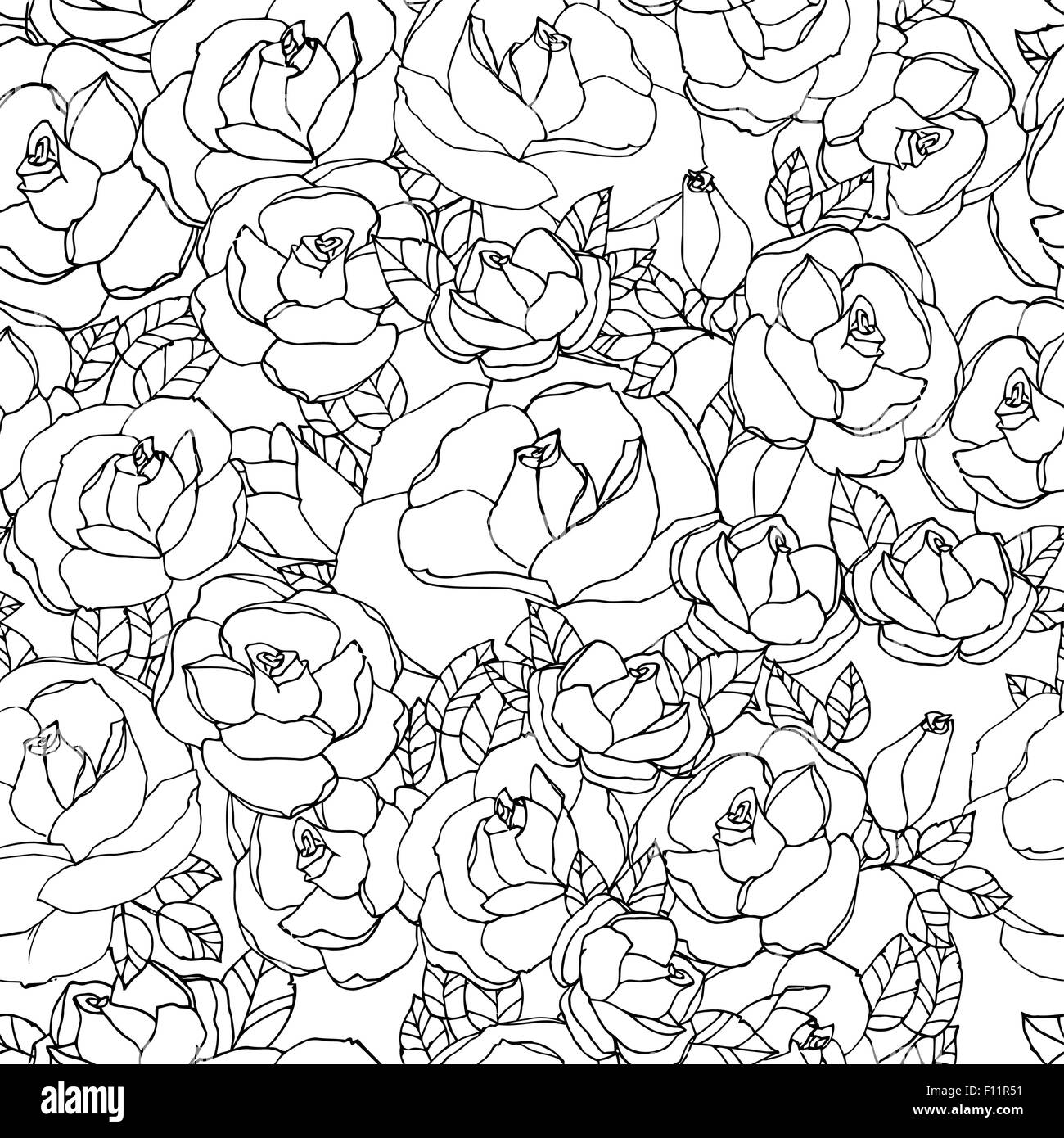 Pink orange rose Black and White Stock Photos & Images - Alamy