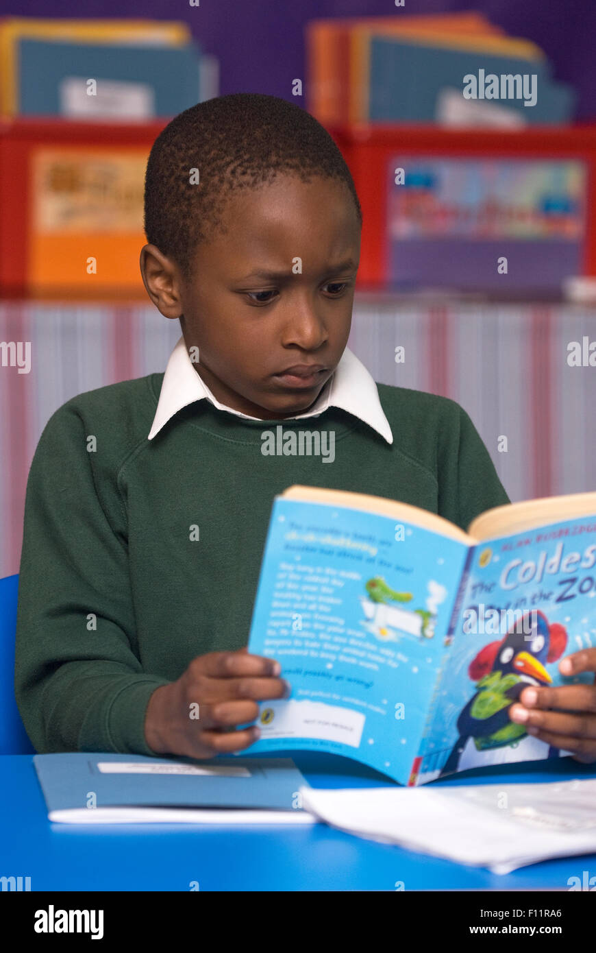 Primary school pupil reading in classroom, UK Stock Photo - Alamy