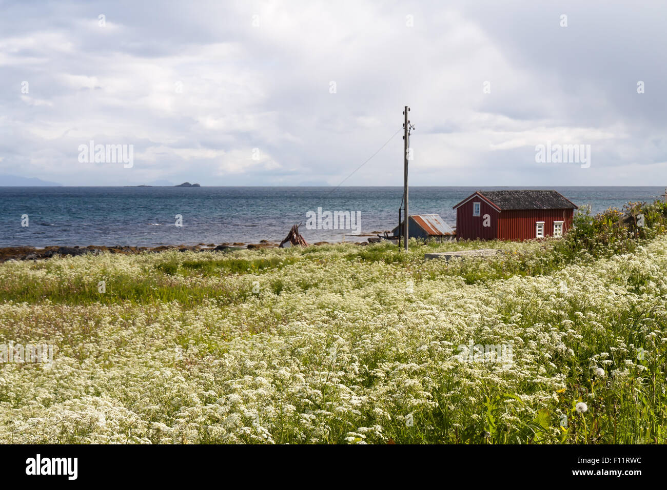 Summer view to Vaeroy island, Lofoten, Norway Stock Photo - Alamy