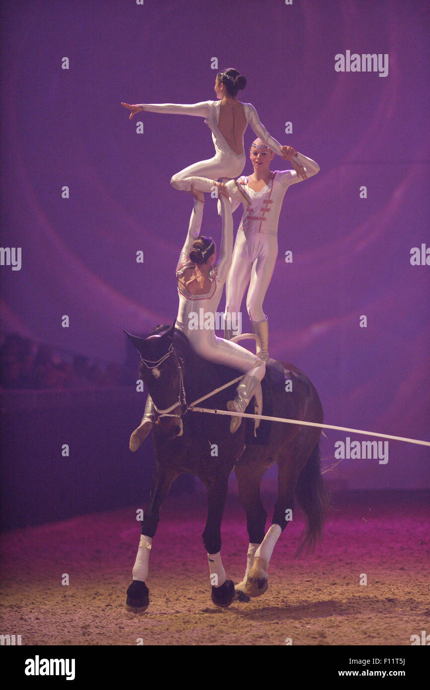 Freestyle team vaulting Equitana Fair, Essen Stock Photo - Alamy