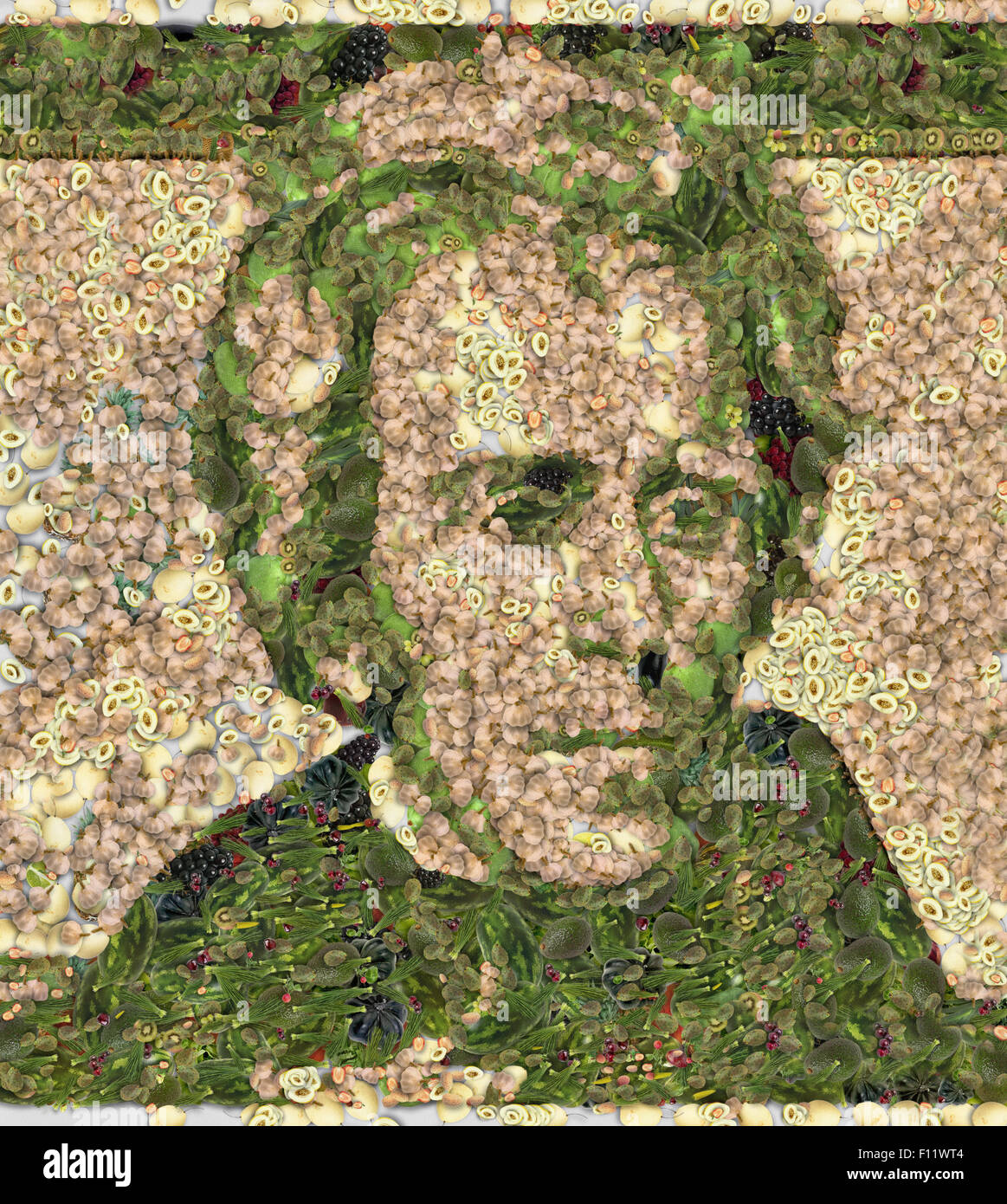 Jackson 7th President Usa 1767 1845 High Resolution Stock Photography ...