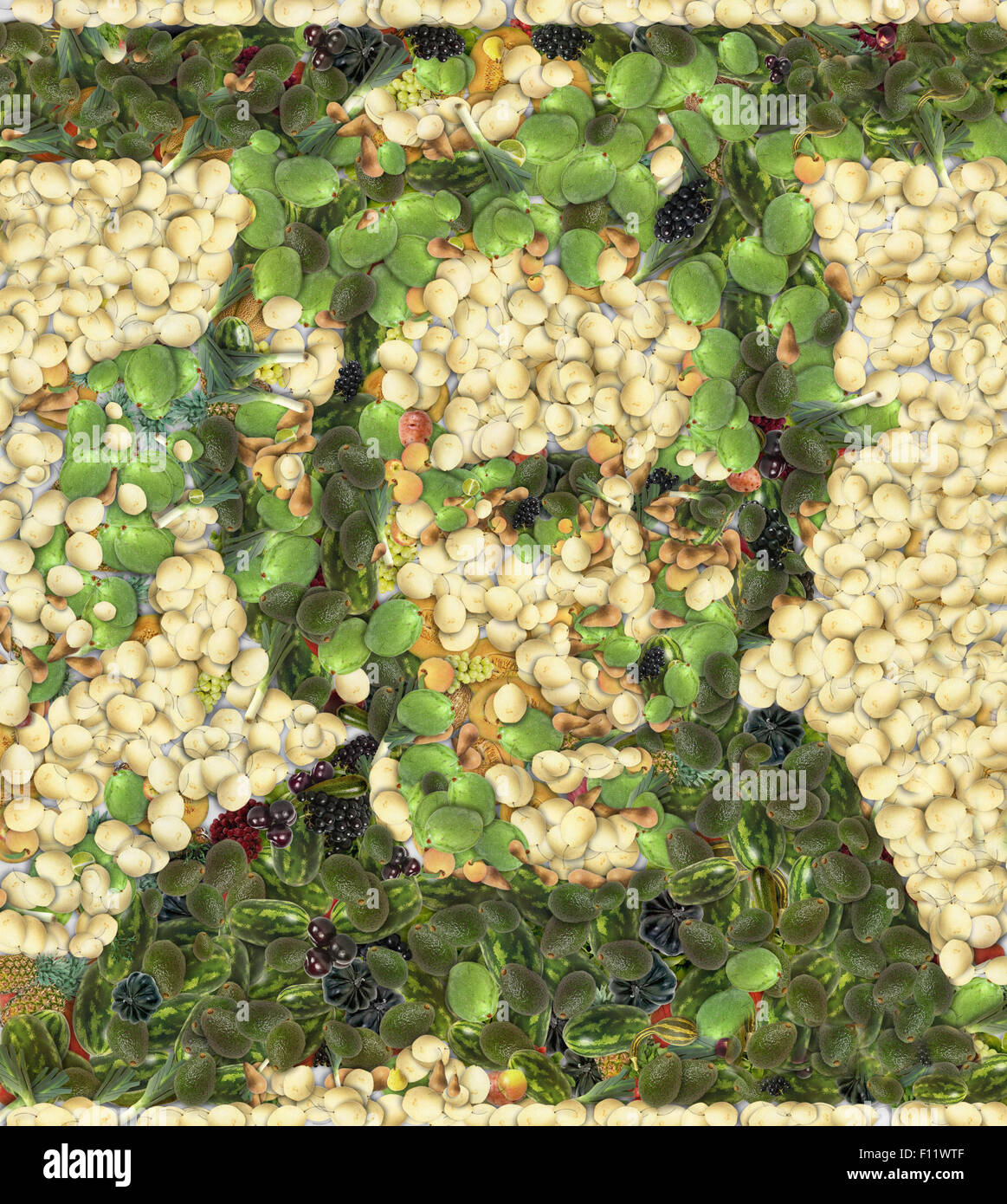 Portrait Andrew Jackson (1767-1845),US political and military leader ...