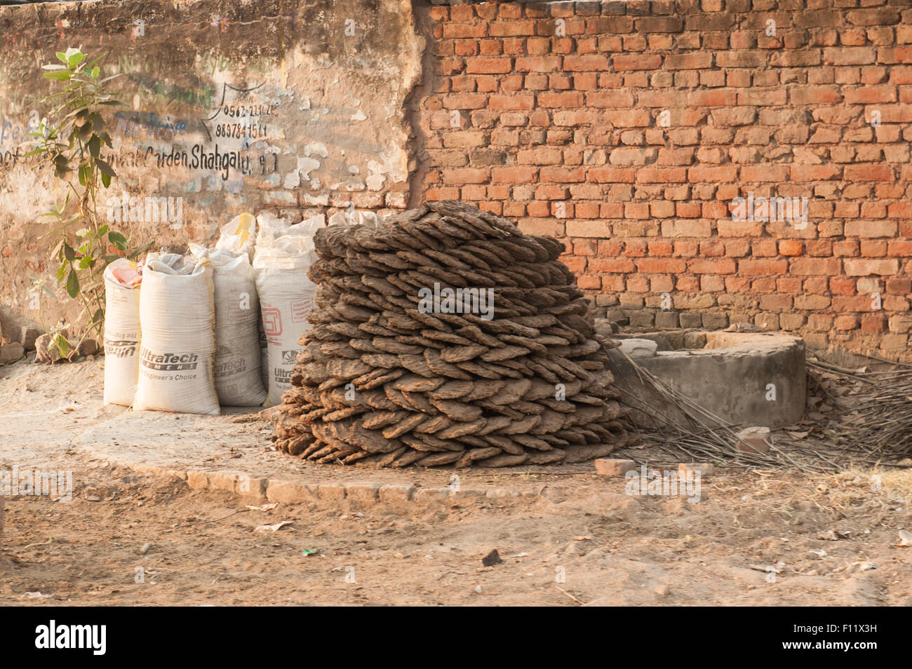 Pile of dung hi-res stock photography and images - Alamy