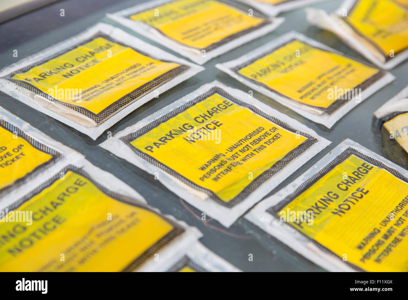 Parked car with multiple Parking Charge Notice stickers on the ...