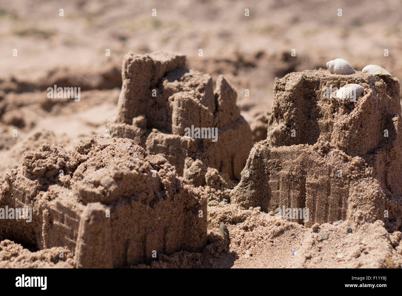 sandcastles and shells exmouth beach Stock Photo - Alamy