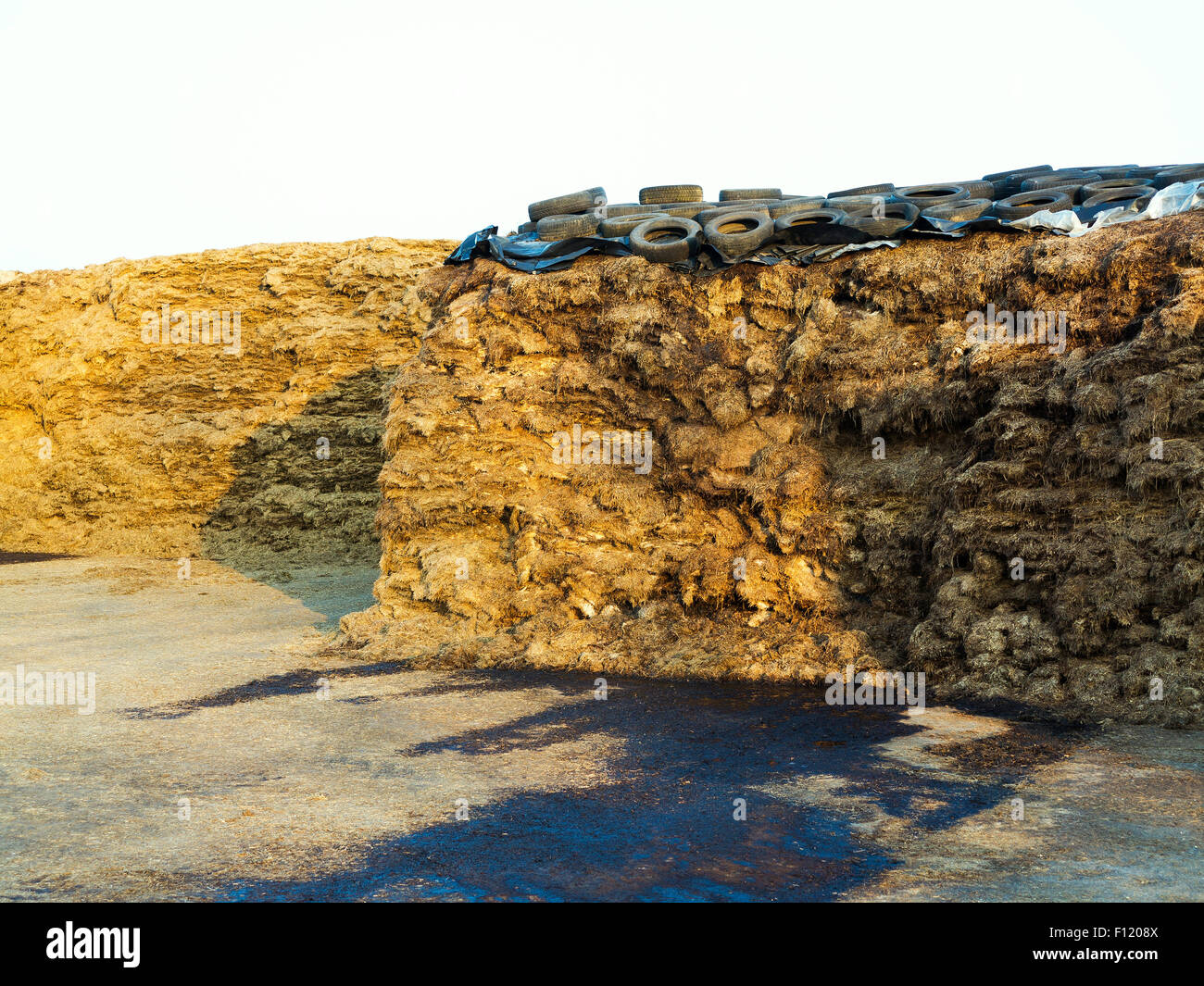 heap of manure covered with old tires Stock Photo - Alamy