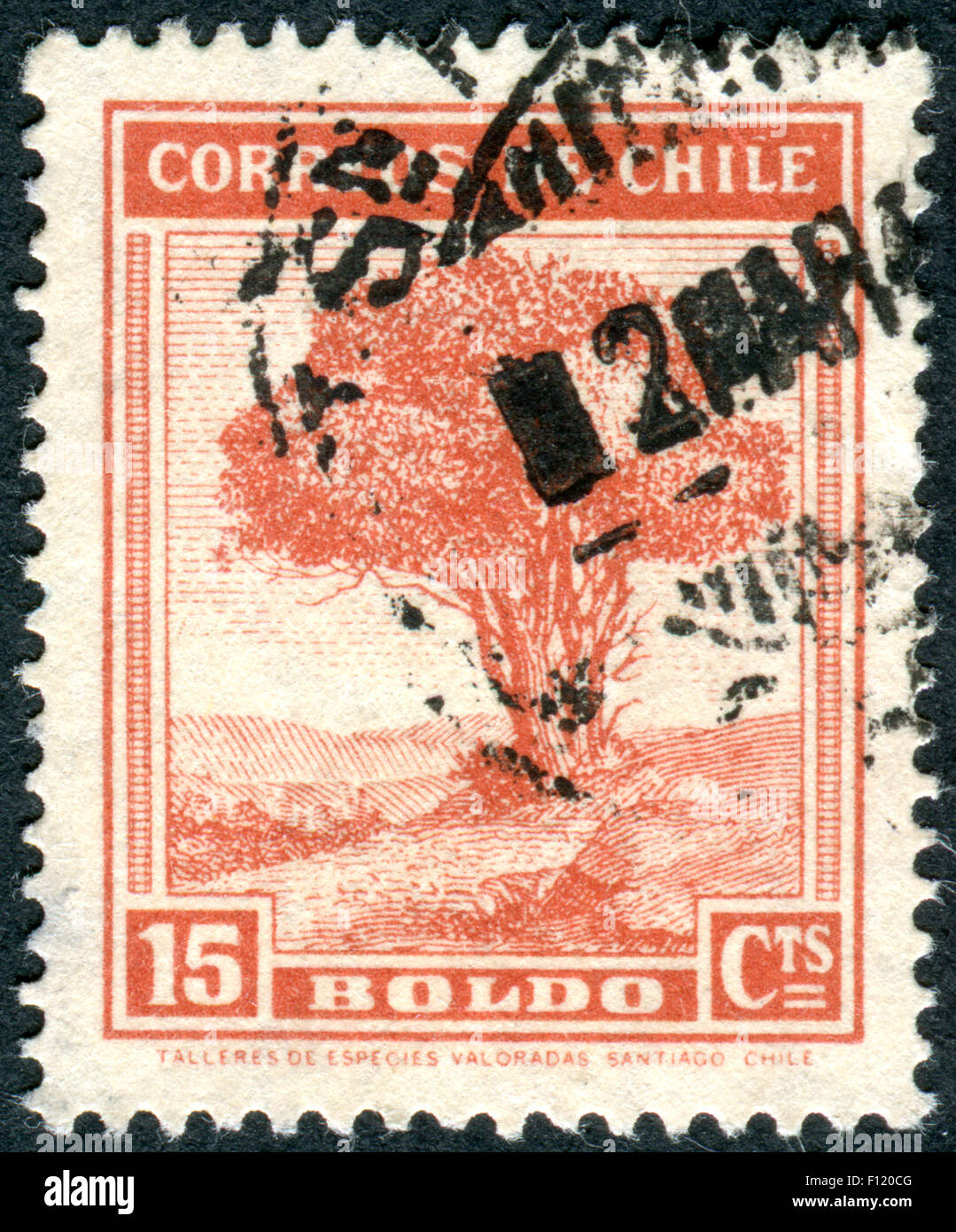 CHILE - CIRCA 1940: Postage stamp printed in Chile, shows Boldo tree ...