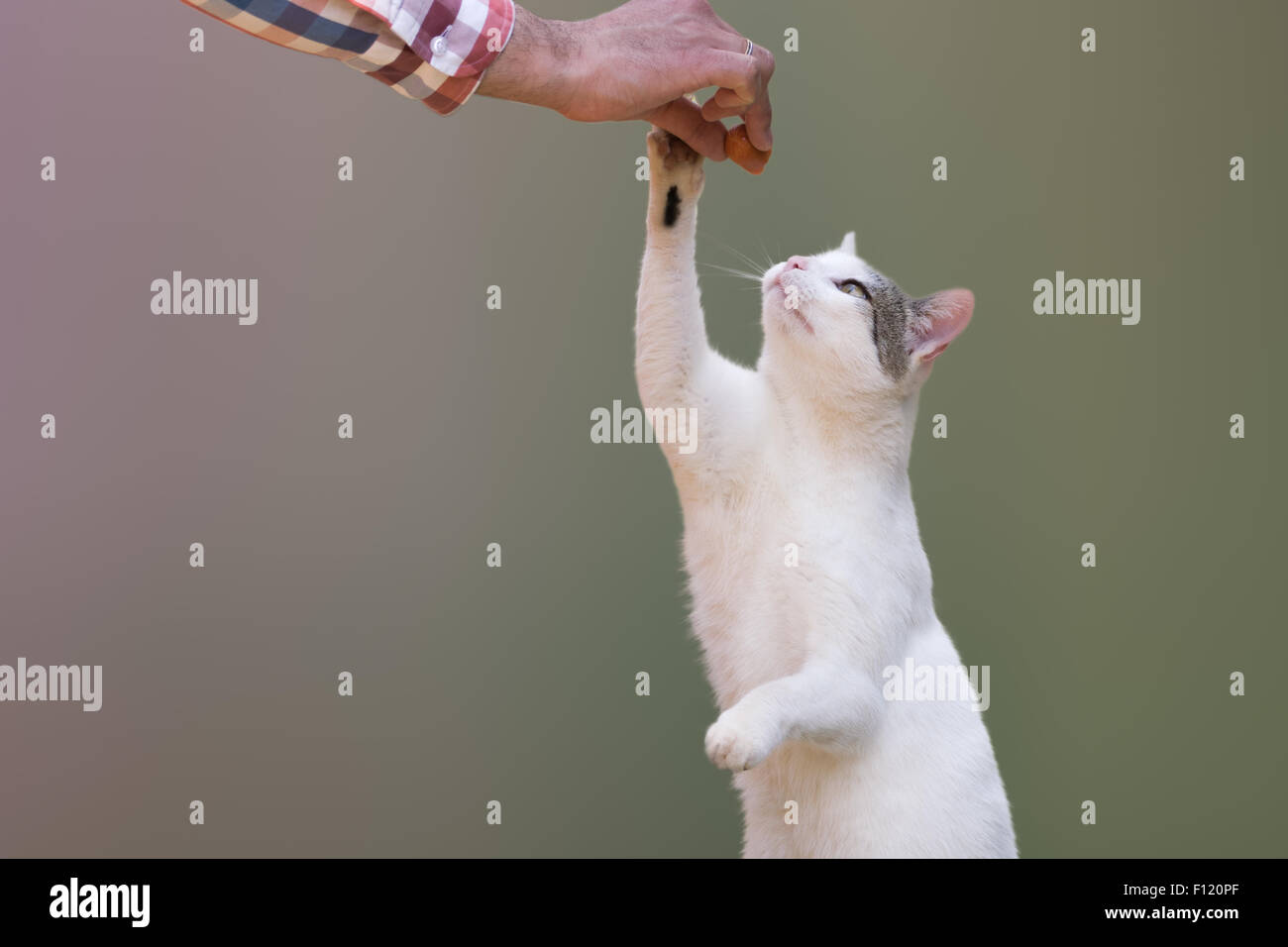 Grabbing Stock Photos & Grabbing Stock Images - Alamy