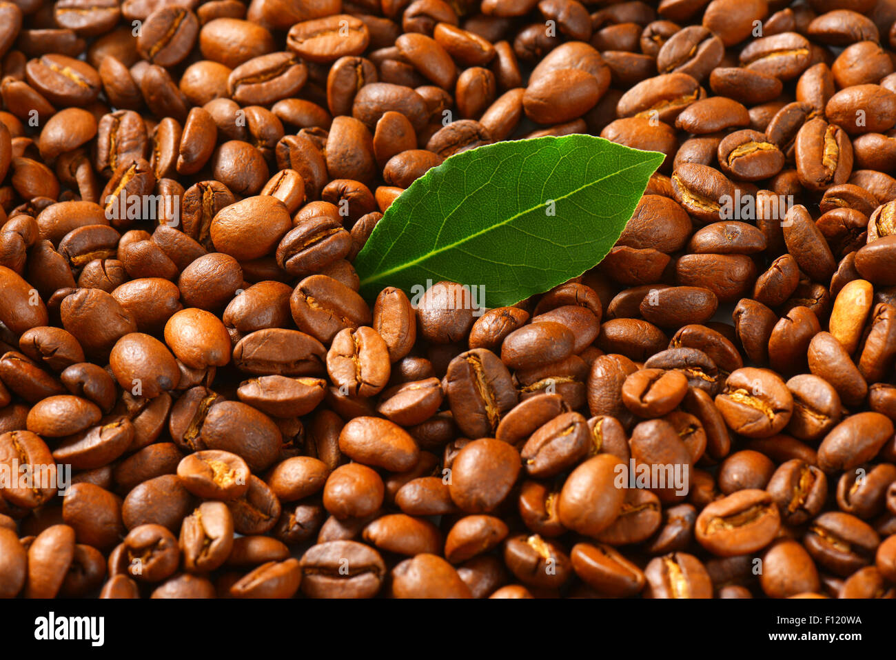 Roasted coffee detail hi-res stock photography and images - Alamy