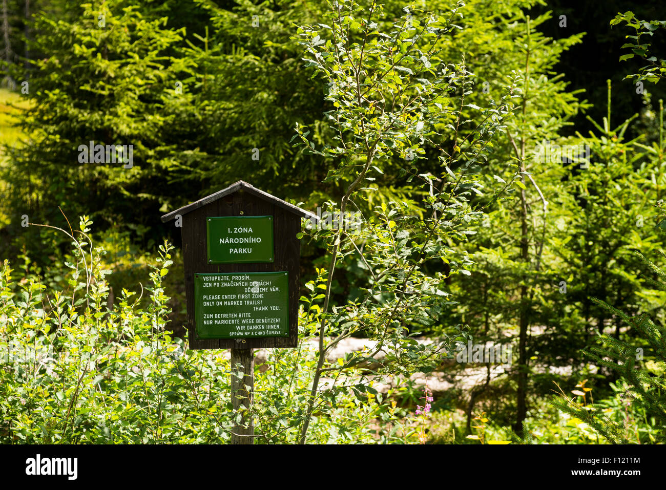 Modravsky potok, Modrava stream, National Park Sumava, Czech Republic ...