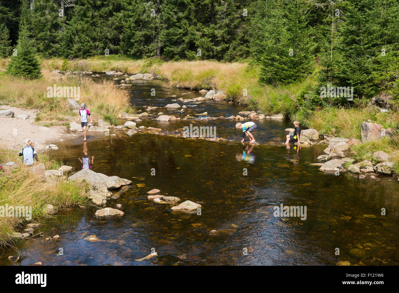 Modravsky potok, Modrava stream, National Park Sumava, Czech Republic ...