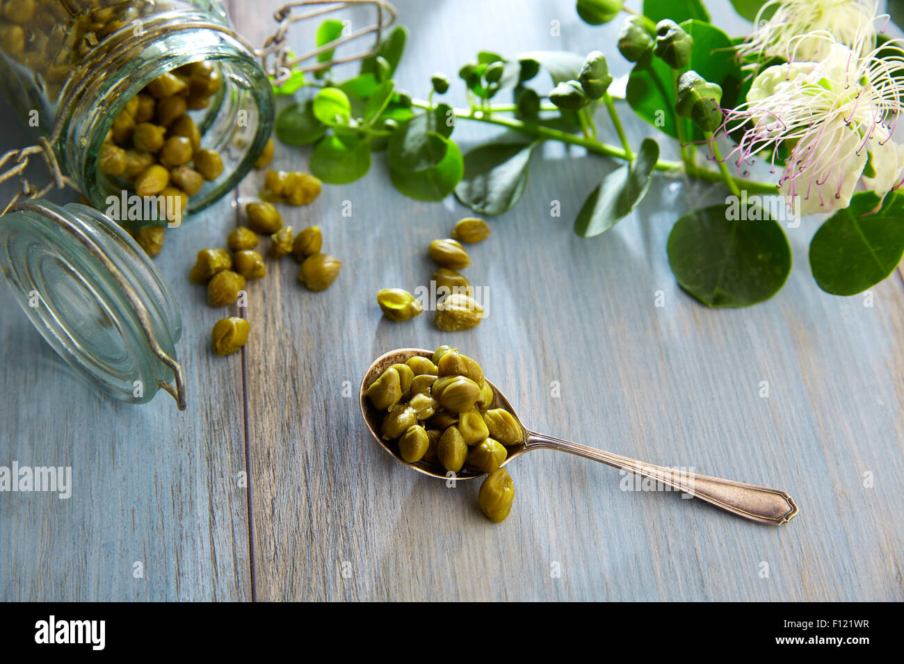 Capers pickled with plant and caper plant flower on vintage spoon Stock ...