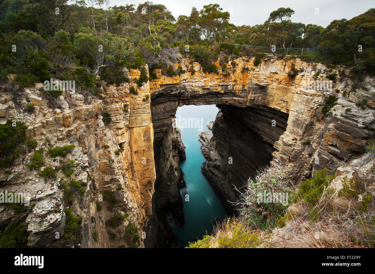 Impressing rocky bridge of Tasman Arch in Tasman National Park Stock ...