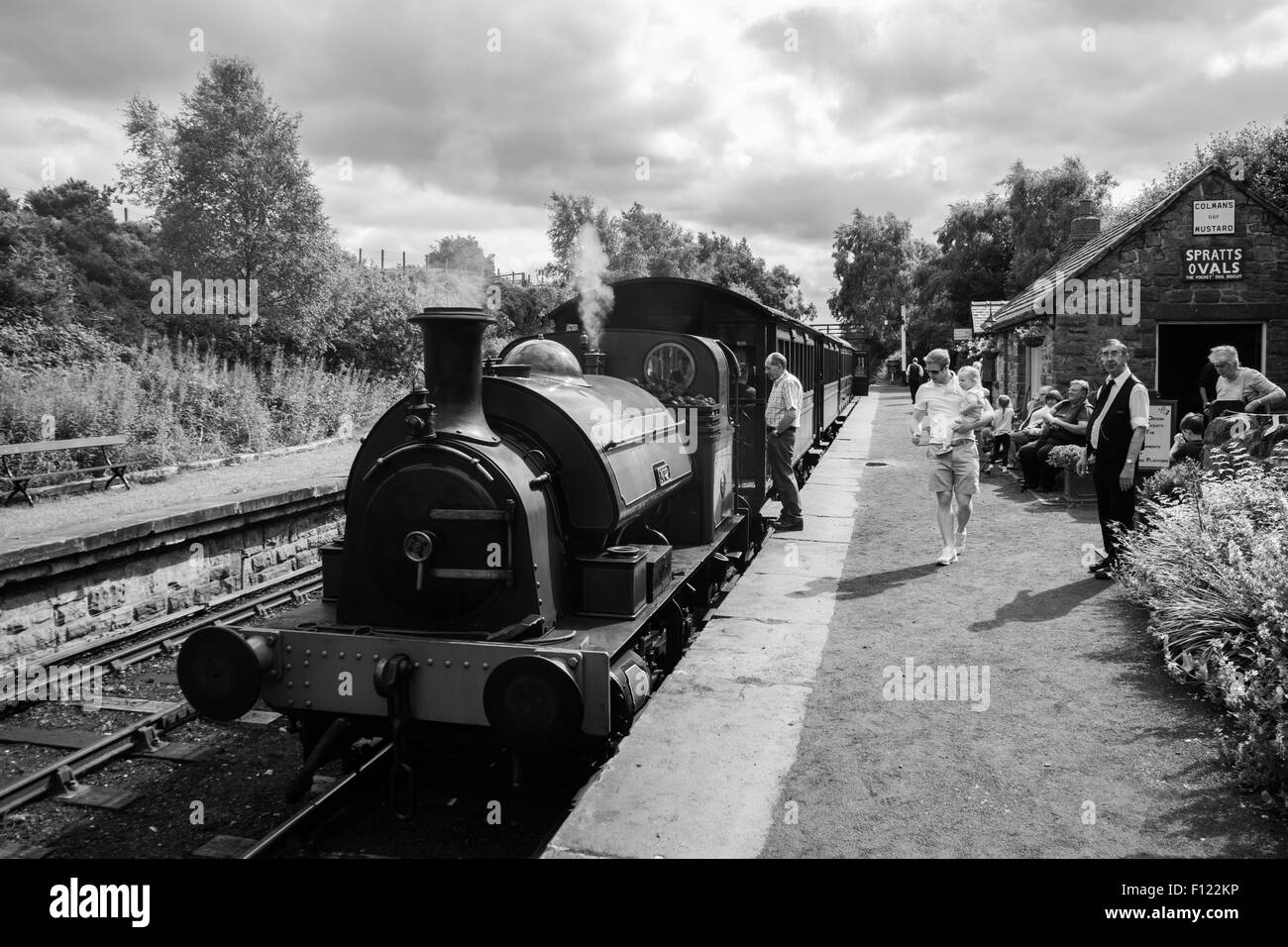 Steam train at Tanfield Railway, the oldest railway in the world Stock ...