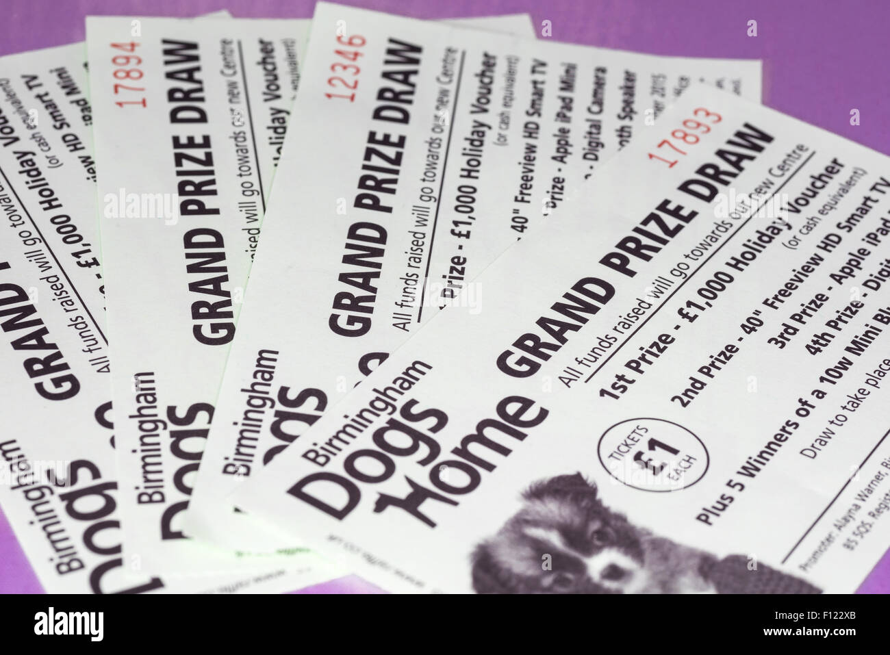 Raffle tickets for Birmingham dogs Home Charity Stock Photo - Alamy