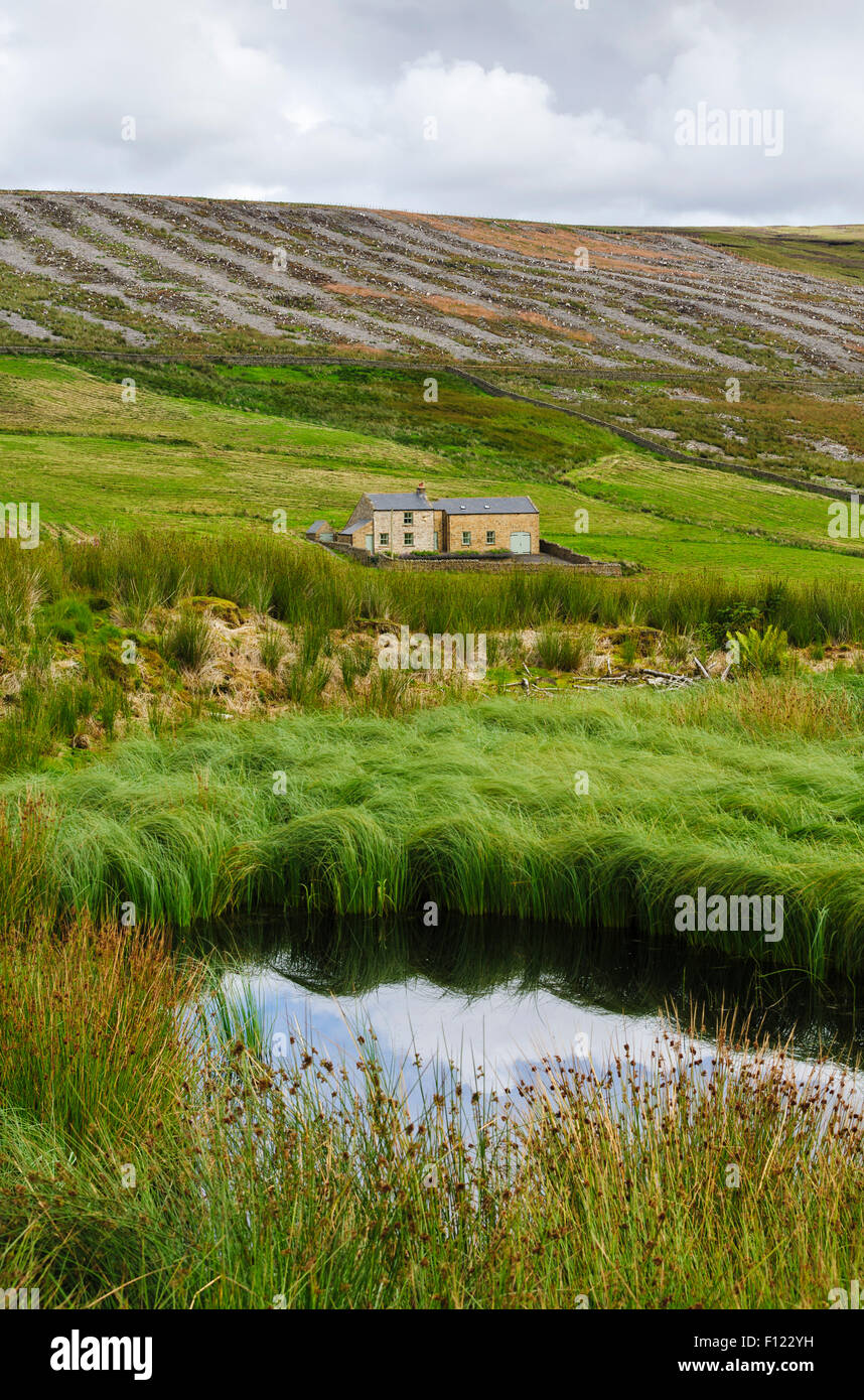 Weardale High Resolution Stock Photography and Images - Alamy
