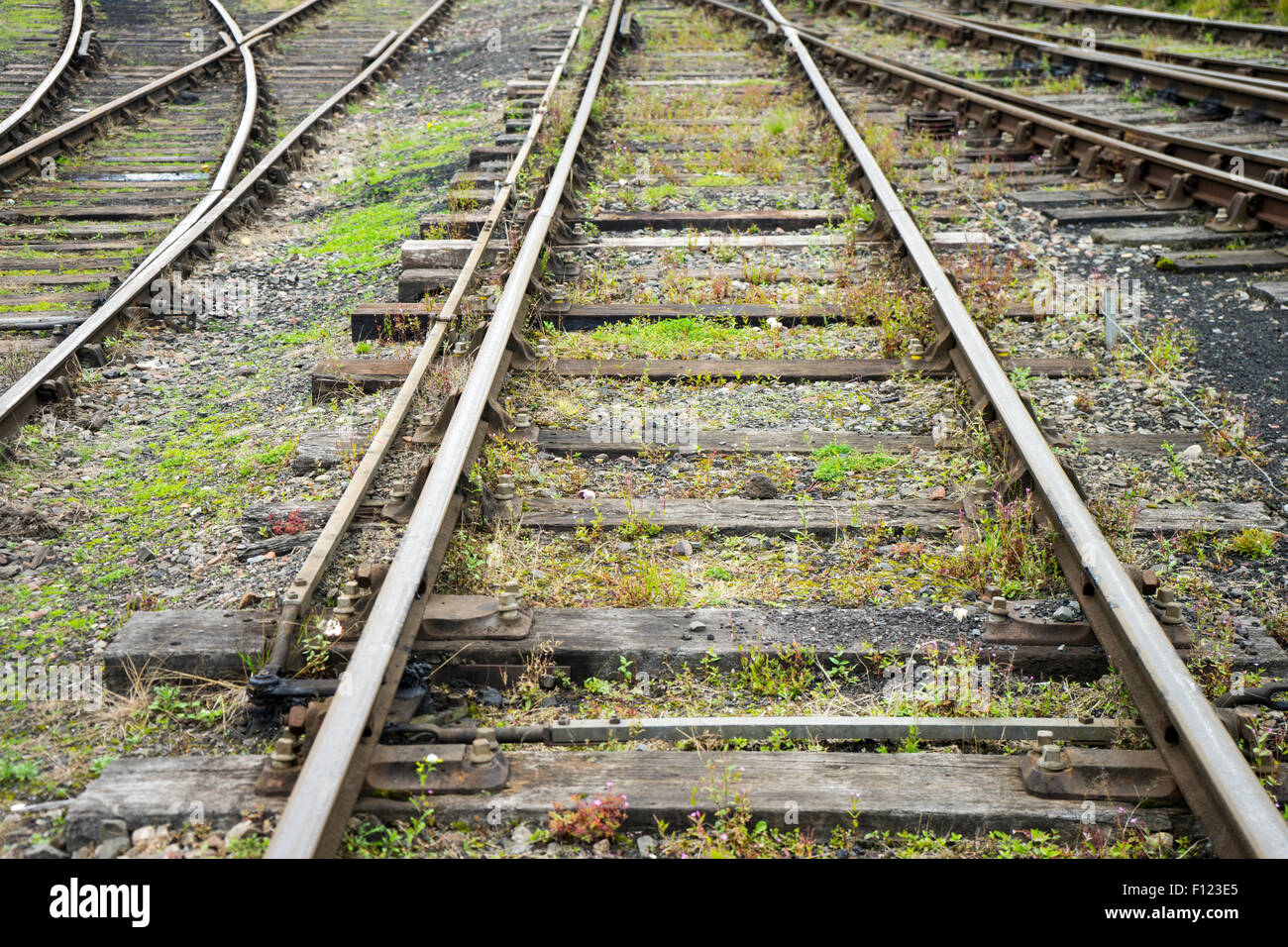 Railway tracks, aka, railway lines Stock Photo - Alamy