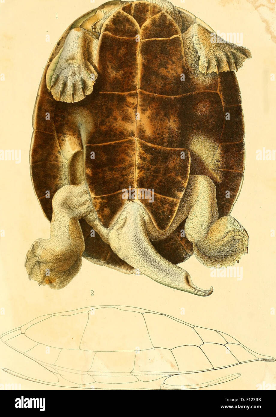 The old history hi-res stock photography and images - Alamy