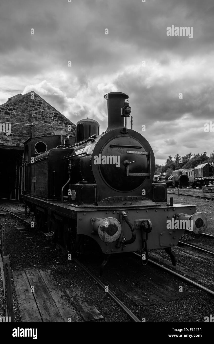 Steam train outside shed at Tanfield Railway, the oldest railway in the ...