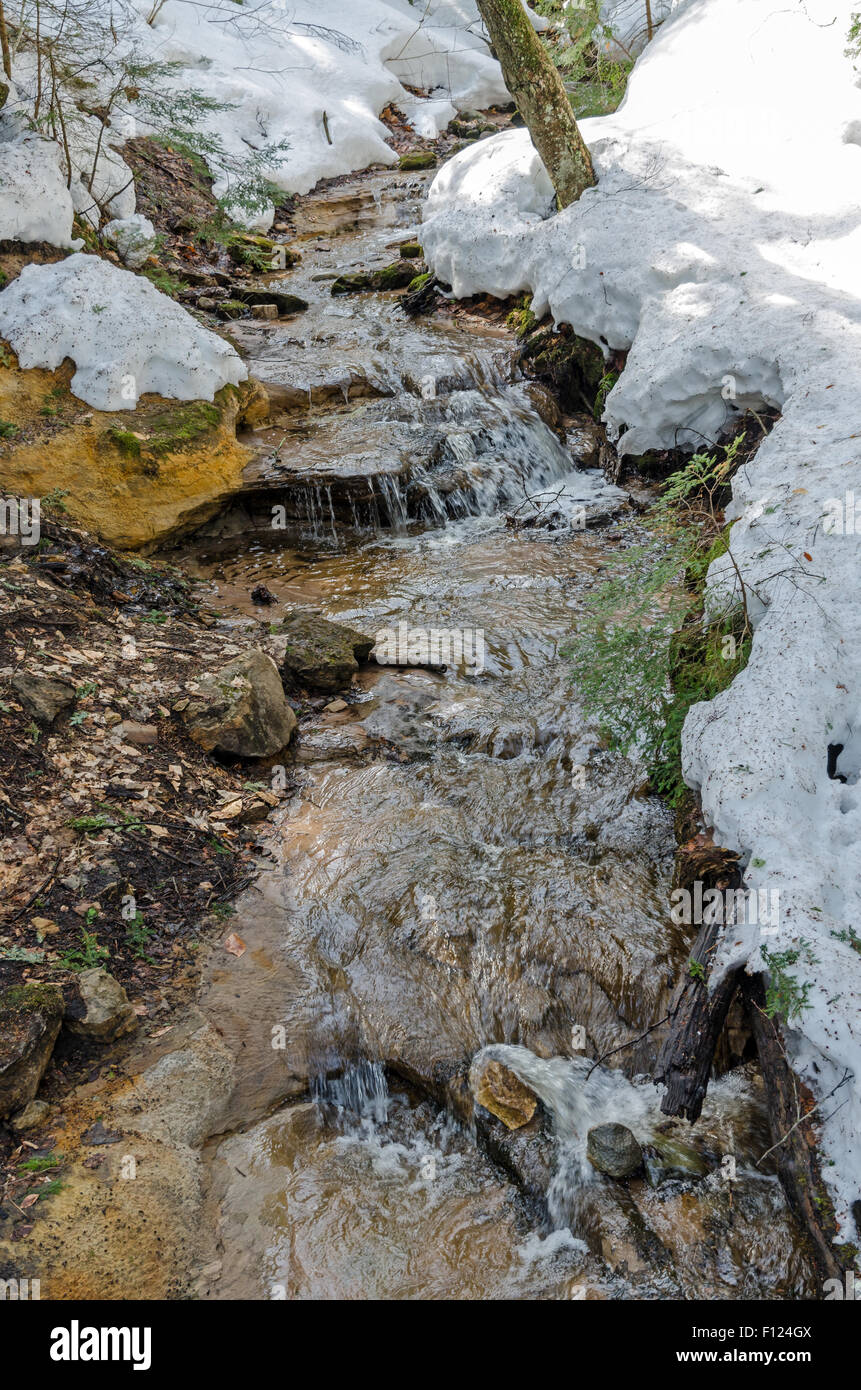 Small stream in mountains winter forest Stock Photo - Alamy