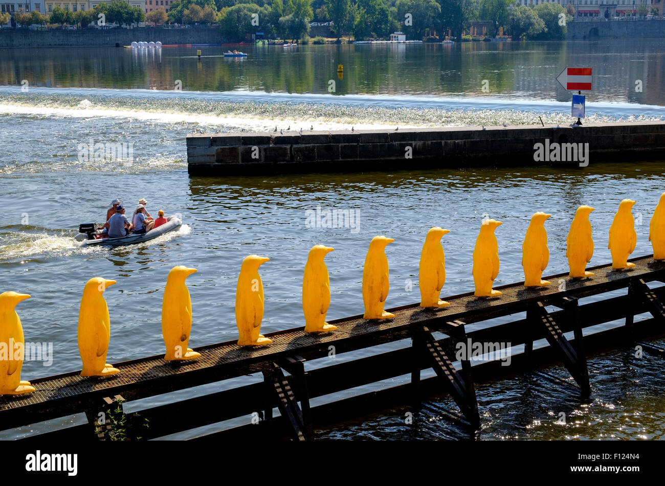 Penguins on the River Vltava near the Charles Bridge in Prague, Czech ...