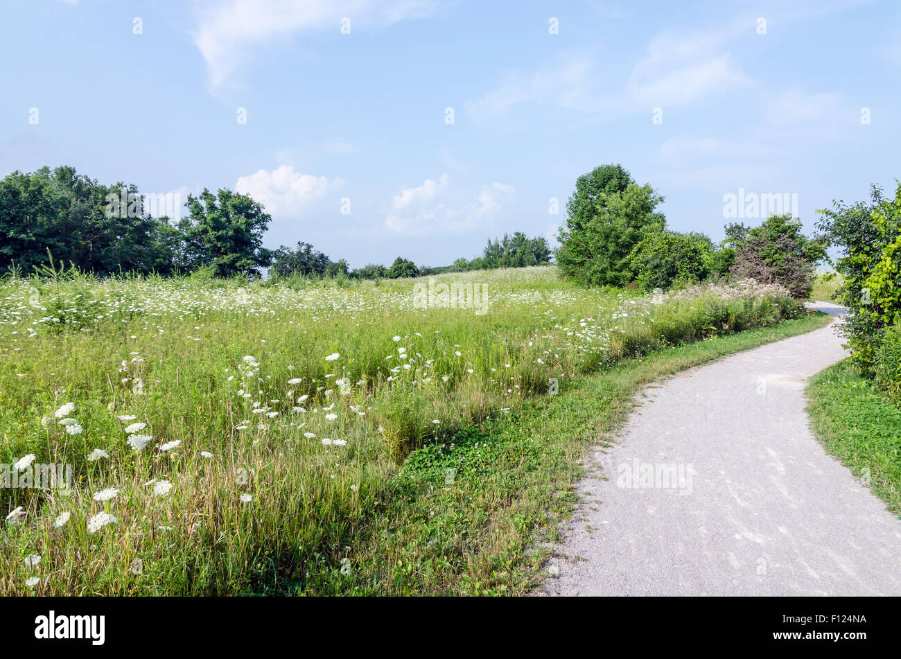 Sunny summer blue sky path hi-res stock photography and images - Alamy
